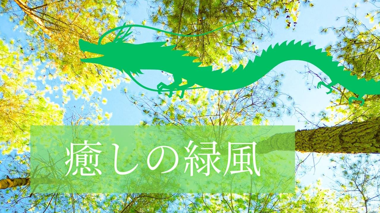 緑龍さんのスピリチュアルな意味とメッセージ【力と知恵、そして癒しの象徴】 御守り龍神アクセサリー・ハンドメイド